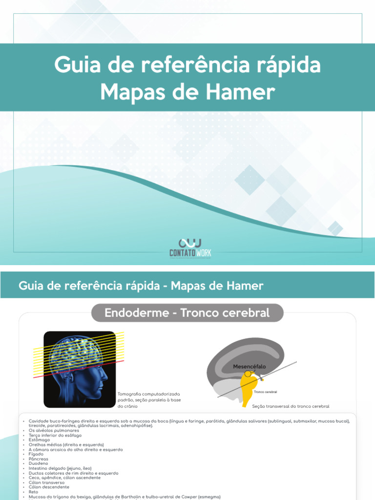 Guia de Referência Rápido - Mapas de Hamer | PDF | Intestino delgado ...