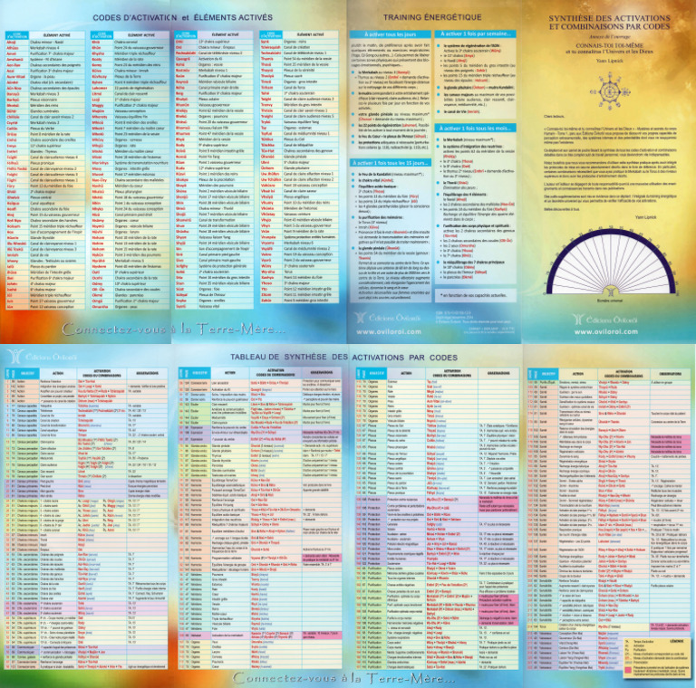 Yann Lipnick-Tableau Synthèse Activation Planche1 | PDF