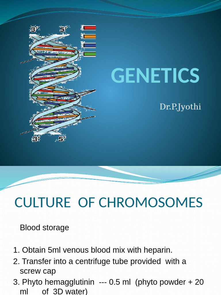 Jyothi PPT CHR Culture | PDF | Karyotype | Chromosome