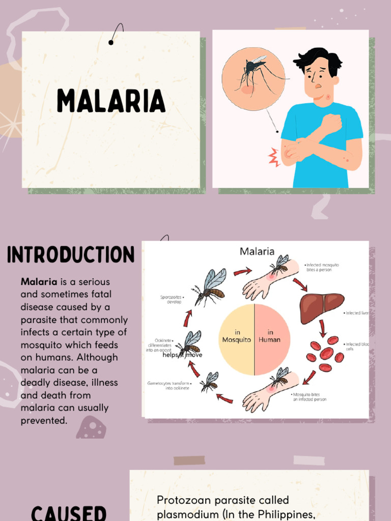 Understanding Malaria: Causes, Symptoms, and Treatment | PDF