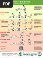Chill Protocol for Managing Dog Anxiety | PDF | Anesthesia | Medical ...