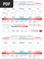Canine Body Condition Scoring Guide | PDF | Abdomen | Vertebral Column