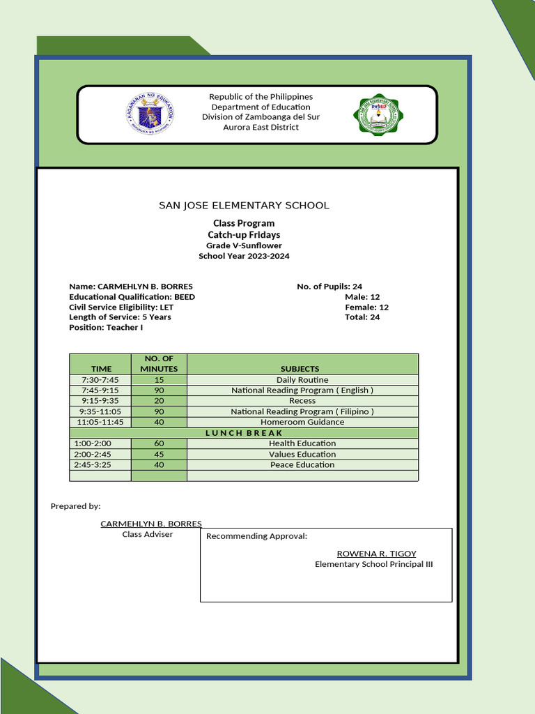 Catch Up Program | PDF