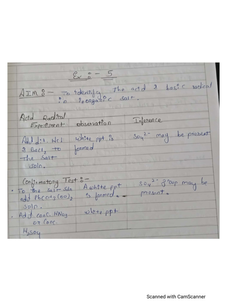 Acid and Basic Radicals | PDF