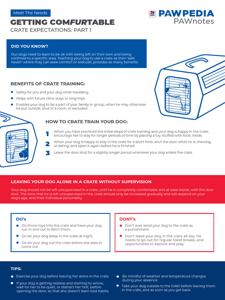 Crate Train Your Dog | PDF