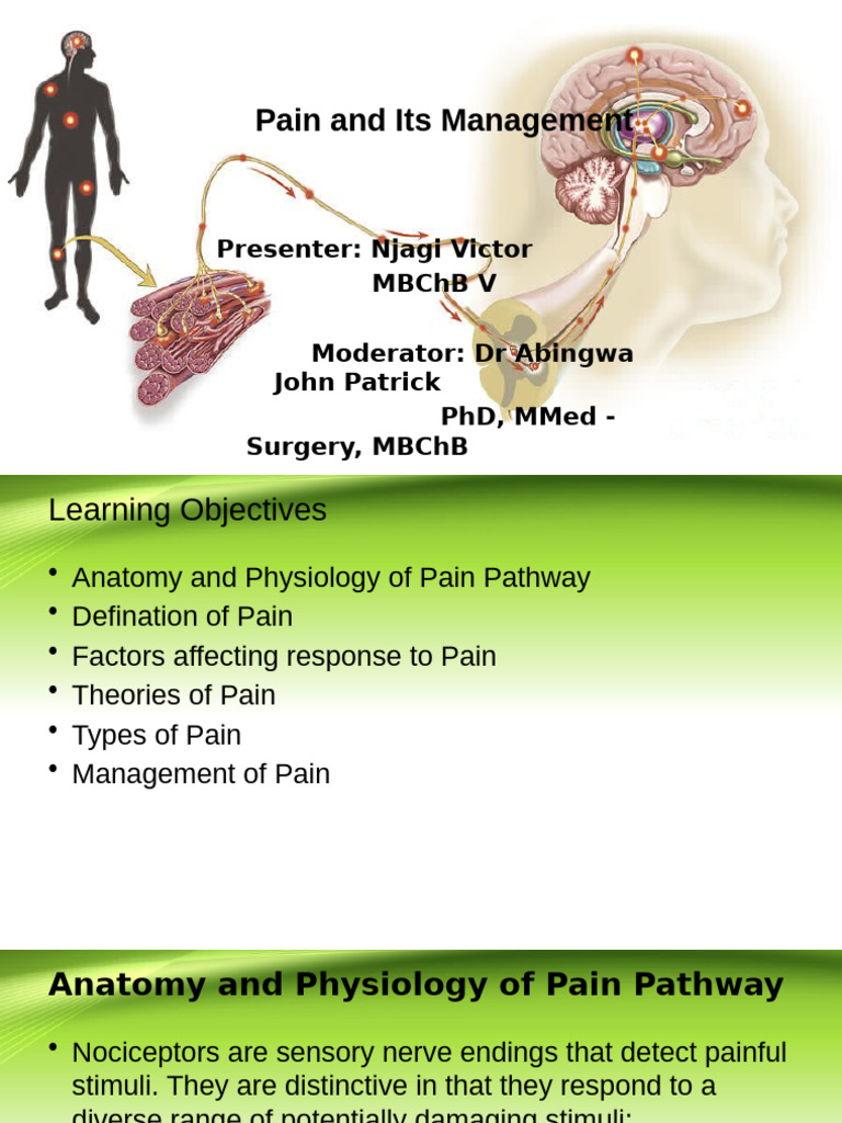 Pain and Its Management | PDF | Pain | Neuroscience