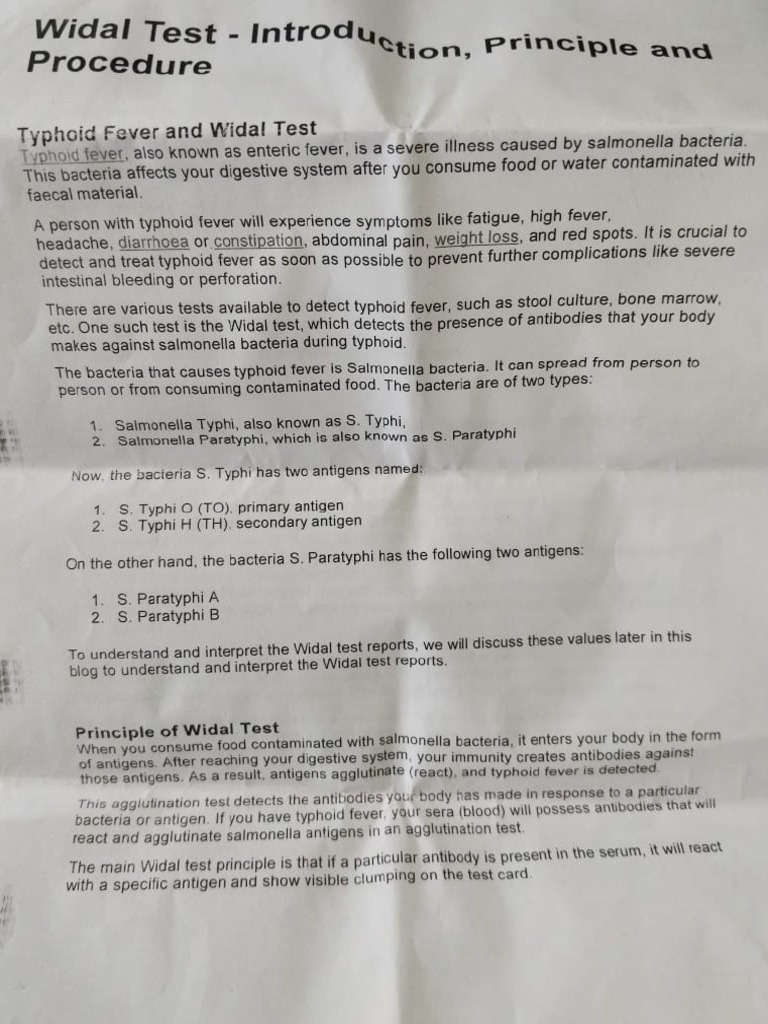 Widal Test | PDF