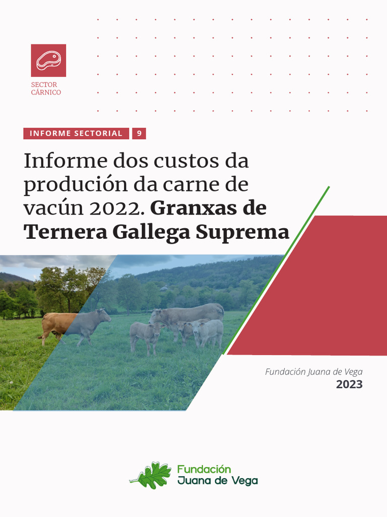 Informe Custos Producion Vacun Carne 2022 - 231123 | PDF