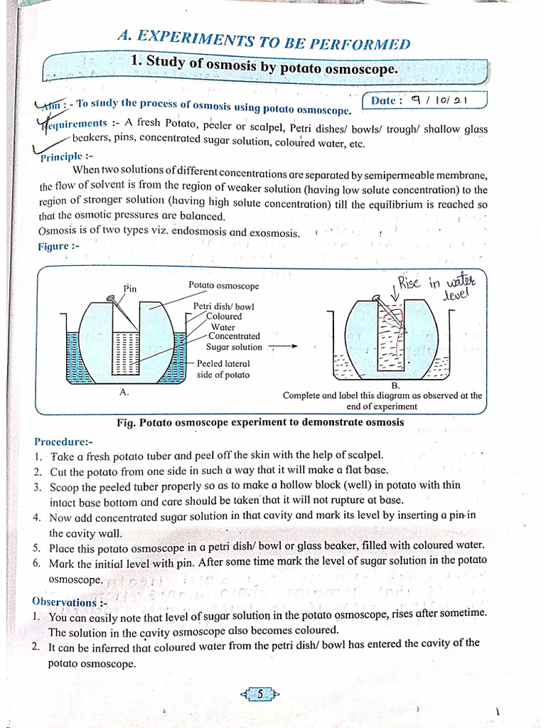 XII Biology Practical | PDF