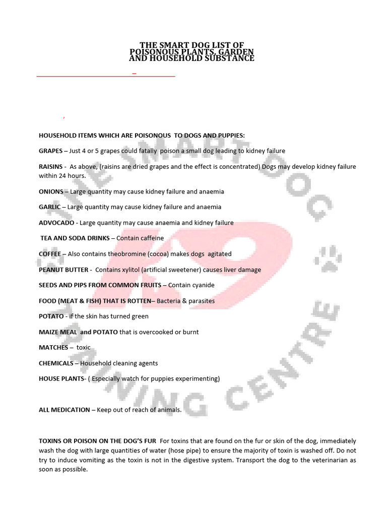 Fact Sheet Poisonous Substances For Dogs | PDF | Poison | Botany