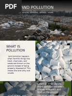 Geography (Land Pollution) Project | PDF