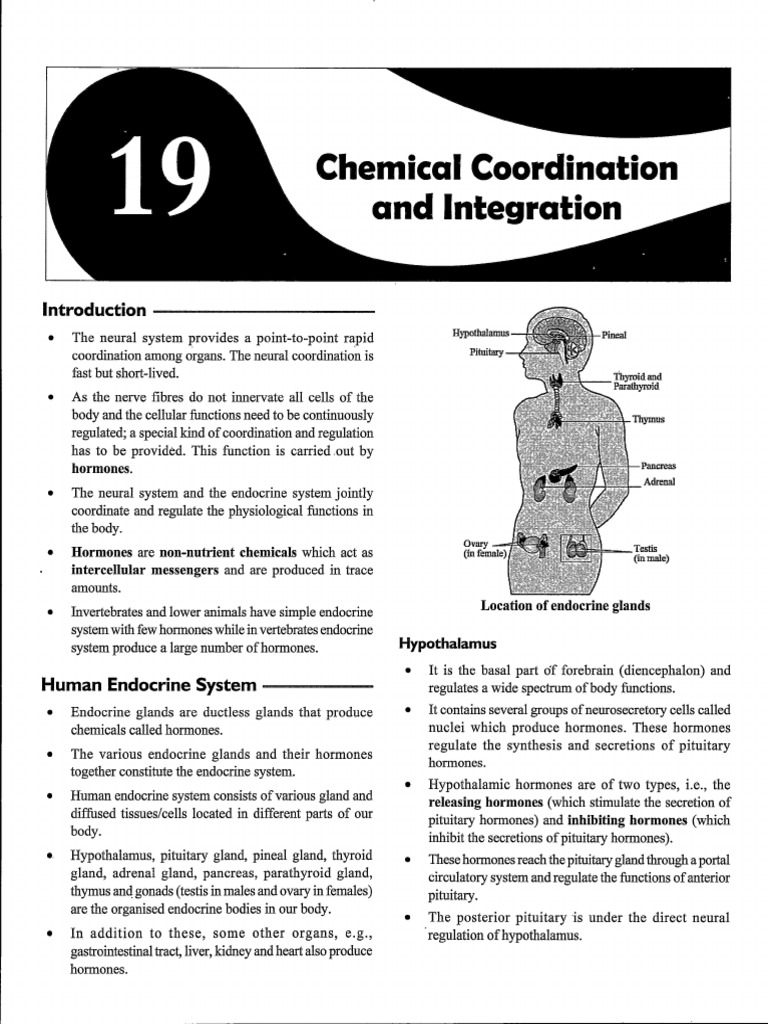 Edoc 2934 22242 | PDF