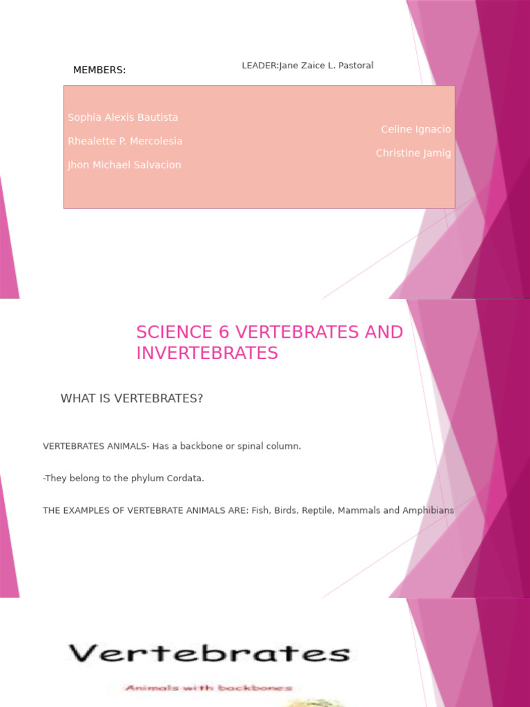 Grade 6 Presentation Group 2 | PDF