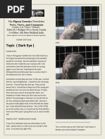 Pigeon Genetics: Answer Key | PDF | Dominance (Genetics) | Genotype