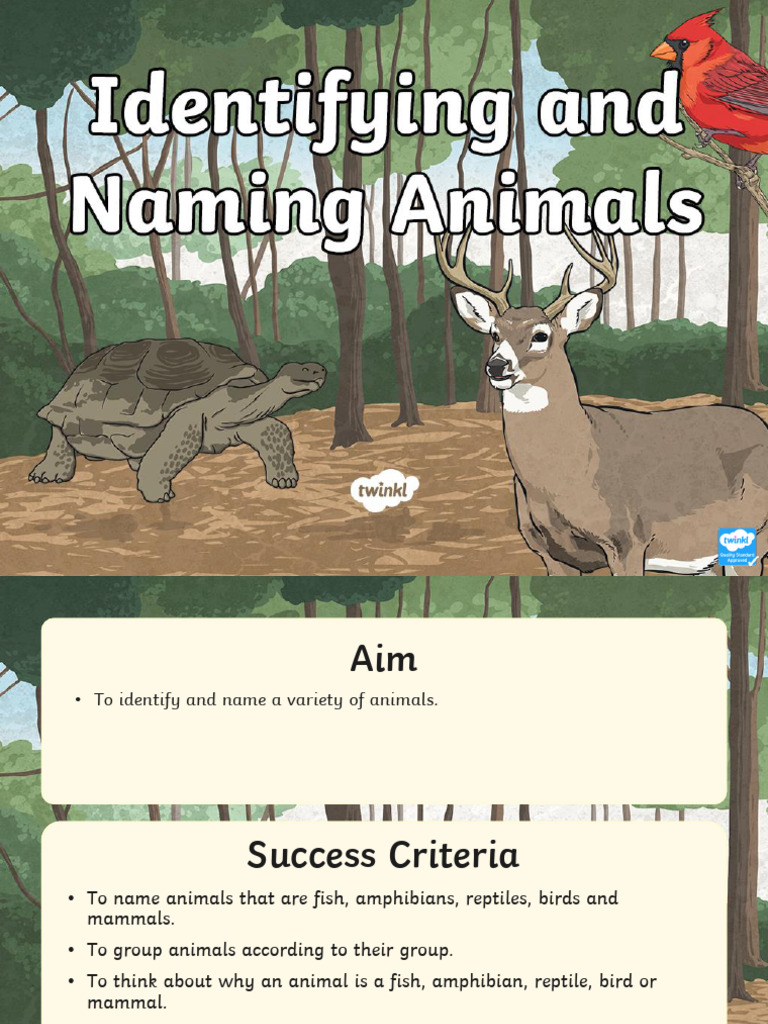 Identifying and Naming Animals PowerPoint | PDF | Reptile | Amphibian