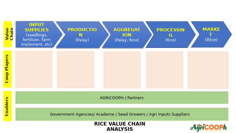 Rice Value Chain Analysis | PDF