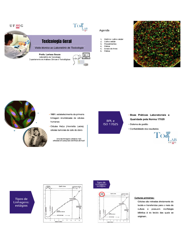 Aula TG Pratica | PDF