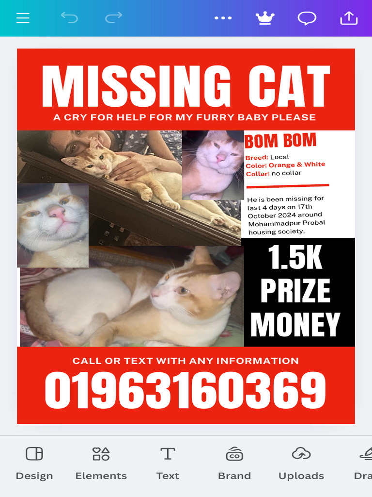 Nickname Bombom, He Is Been Missing For Last 4 Days On 17th October ...