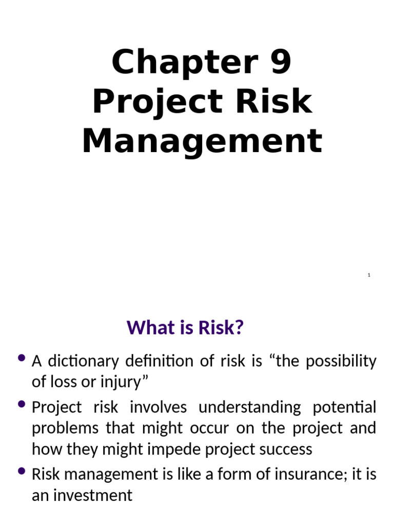 Project Risk Management Overview | PDF | Risk | Risk Management