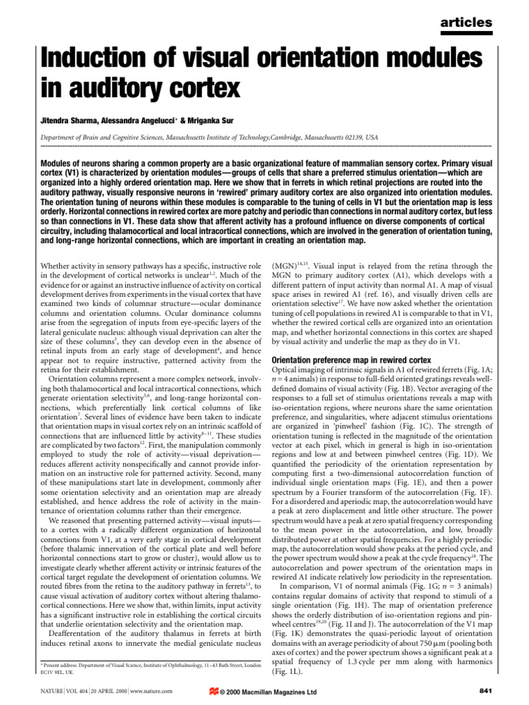 2000 - Sharma - Induction of Visual Orientation Modules in Auditory Cortex | PDF | Visual Cortex ...