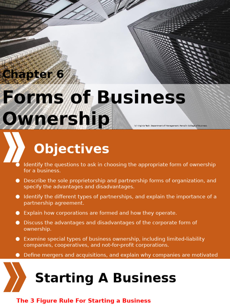 CH6 Forms of Business Ownership-Slides | PDF | Partnership | Corporations