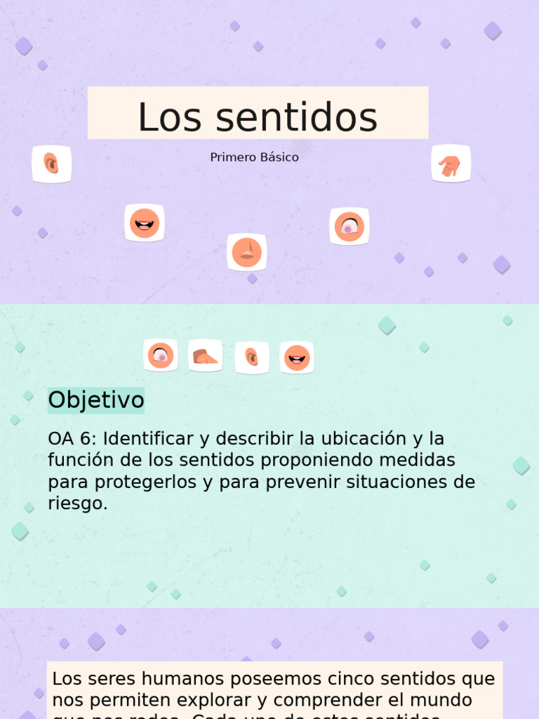 Los Sentidos | PDF | Percepción visual | Sentidos
