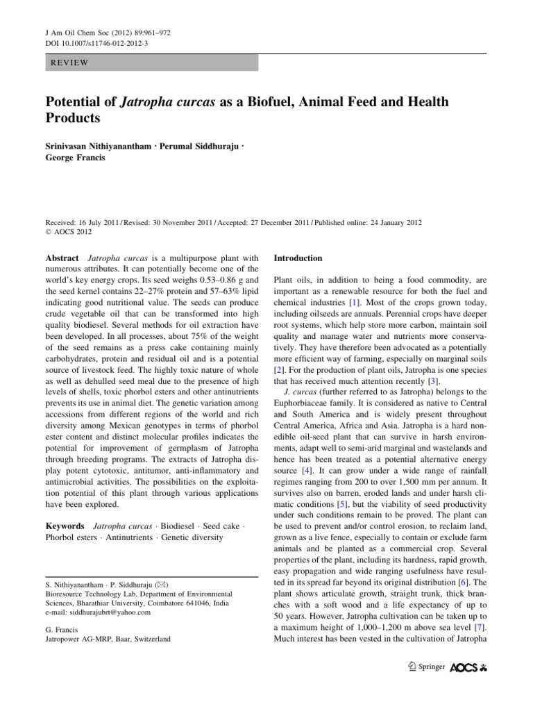 Jatropha curcas: Biofuel and Health Potential | PDF | Biodiesel | Vegetable Oil