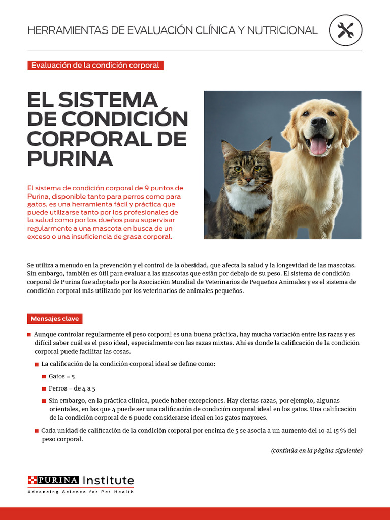 El Sistema de Condición Corporal de Purina | PDF | Gatos | Mascota