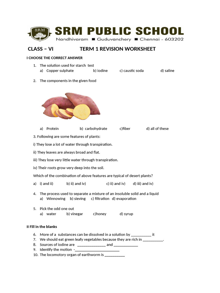 GR 6 Science Term 1 Worksheet | PDF | Water