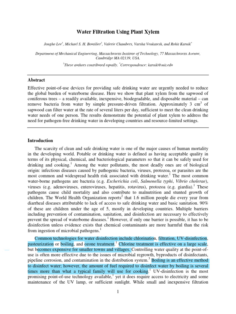 Water Filtration Using Plant Xylem | PDF | Water Purification | Filtration