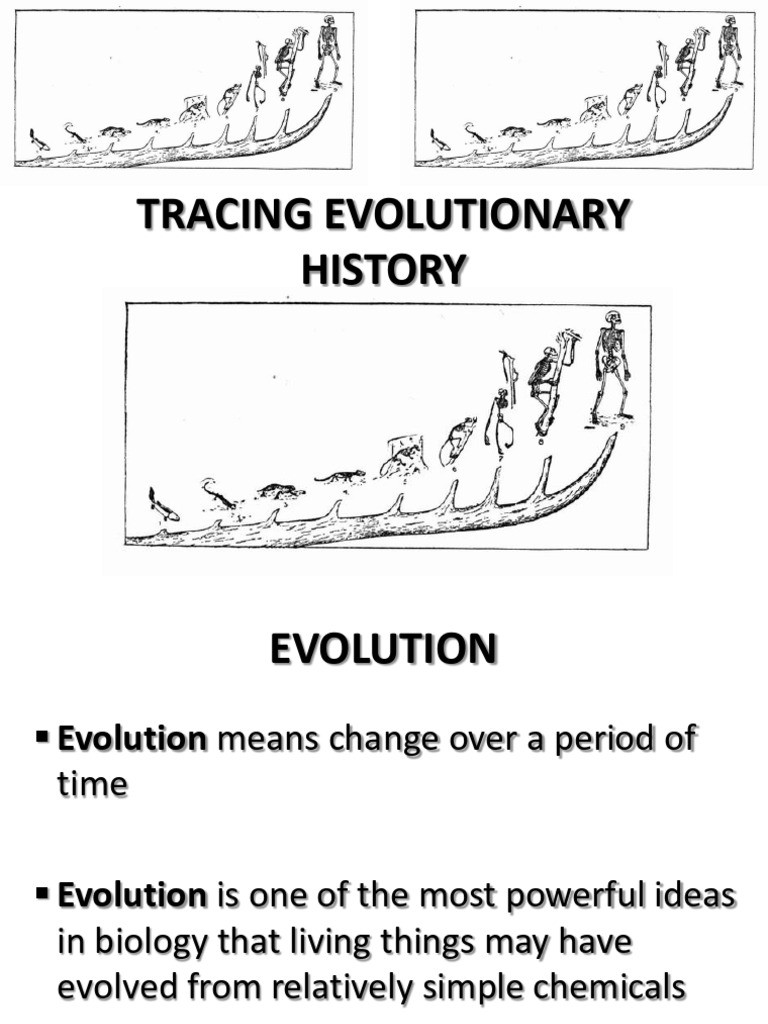Lesson 3-Tracing Evolutionary History | PDF | Life | Evolution