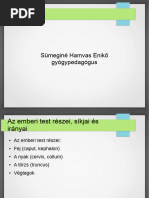 Az Emberi Test Felépítése Anatómia Ápolás | PDF