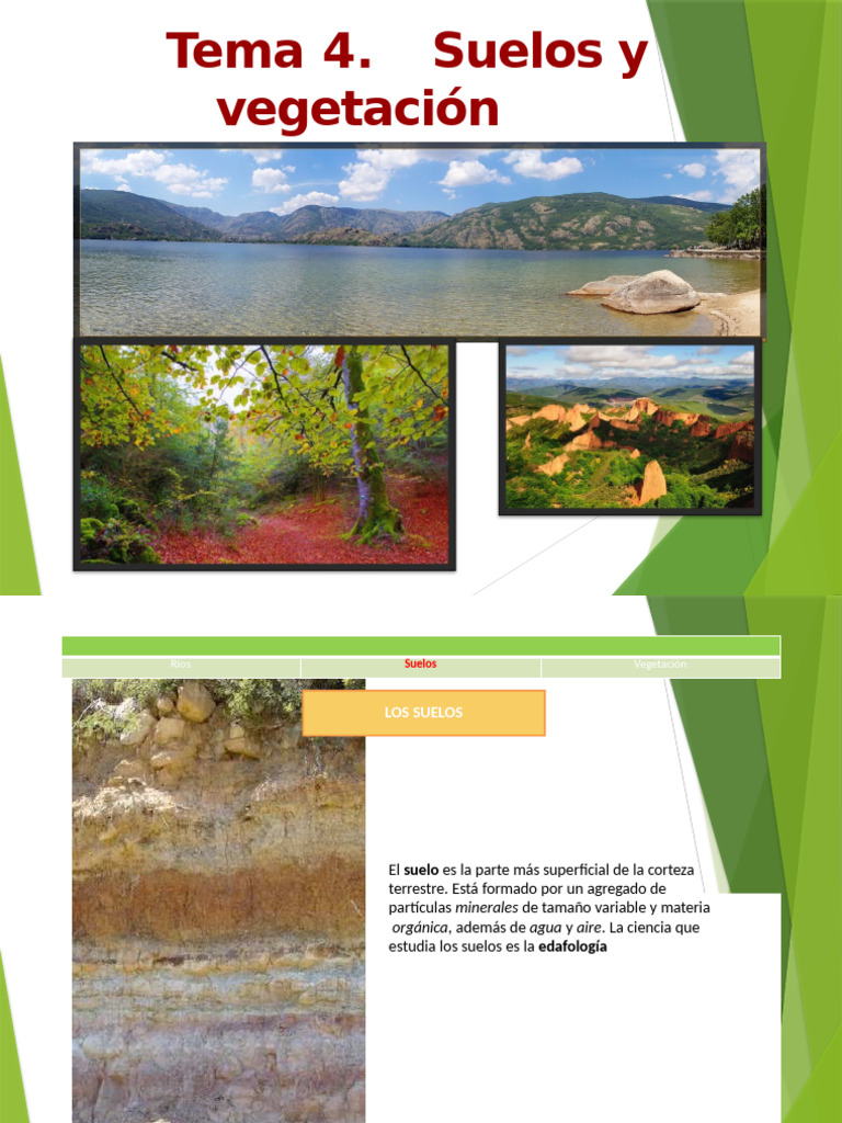 Geo T4. Suelos y Vegetación | PDF | Suelo | Roca (geología)
