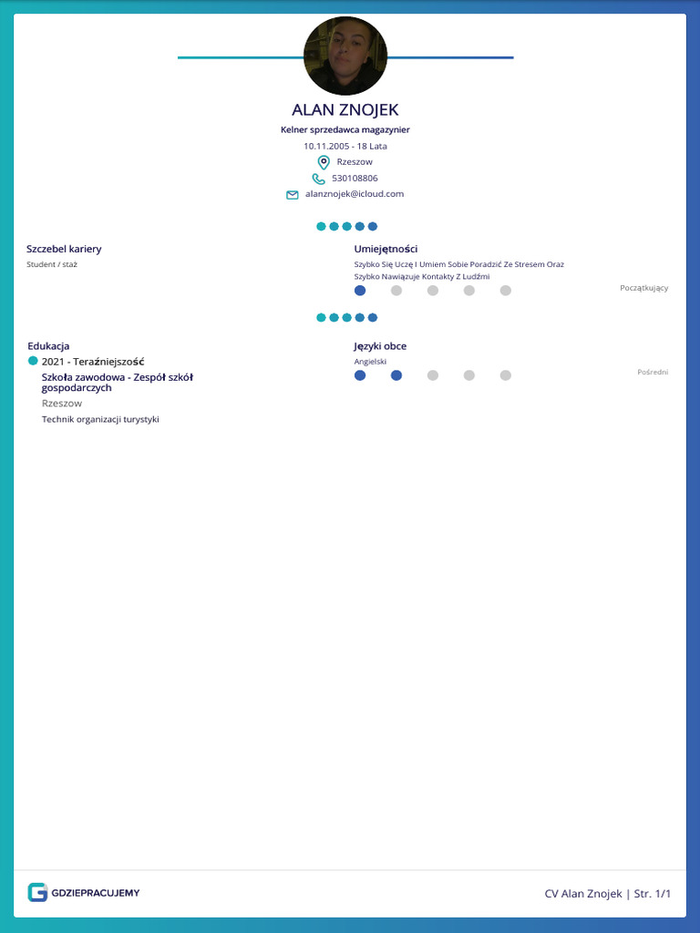 Gdziepracujemy CV Alan Znojek 3 | PDF
