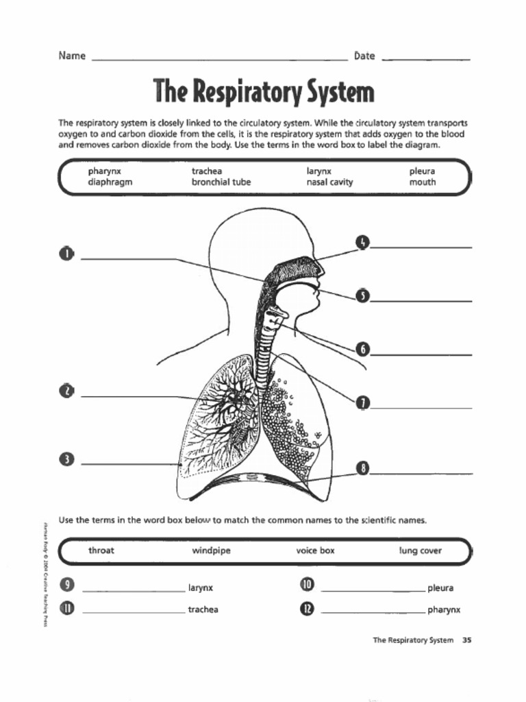 Systems Diagrams 2 | PDF