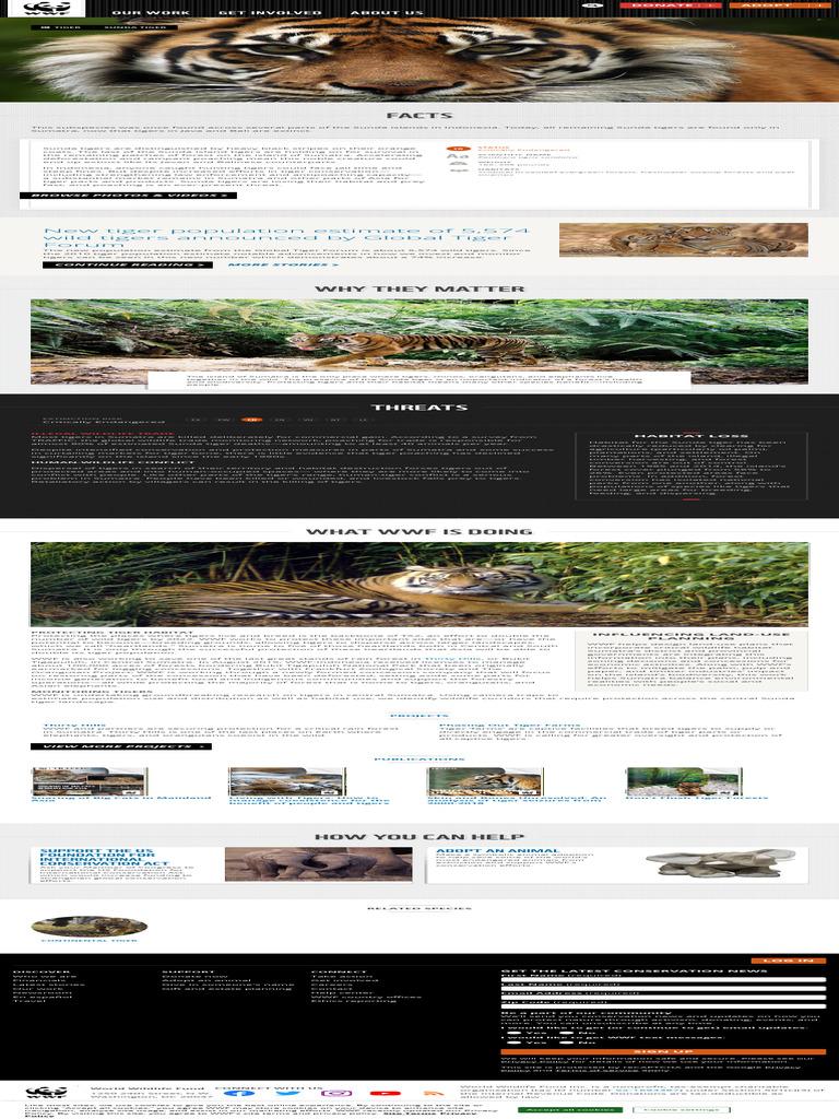 Sunda Tiger Species WWF | PDF | Tiger | Logging