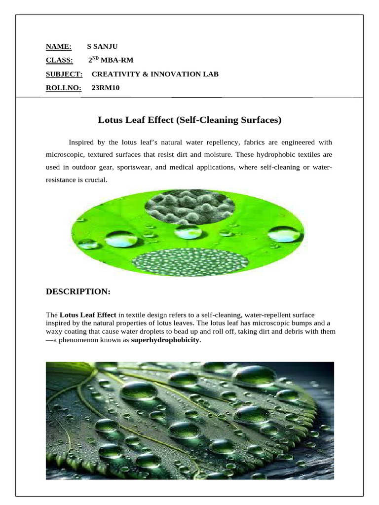 Lotus fiber | PDF | Hydrophobe | Chemistry