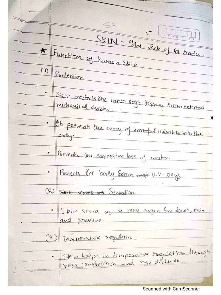 Skin | PDF