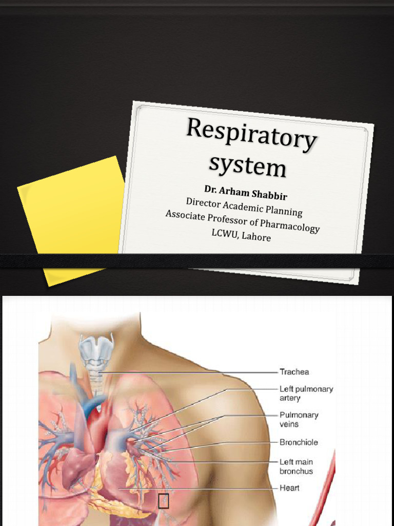 Chapter #2 Respiratory System by Dr. Arham Shabbir | PDF | Hemoglobin ...