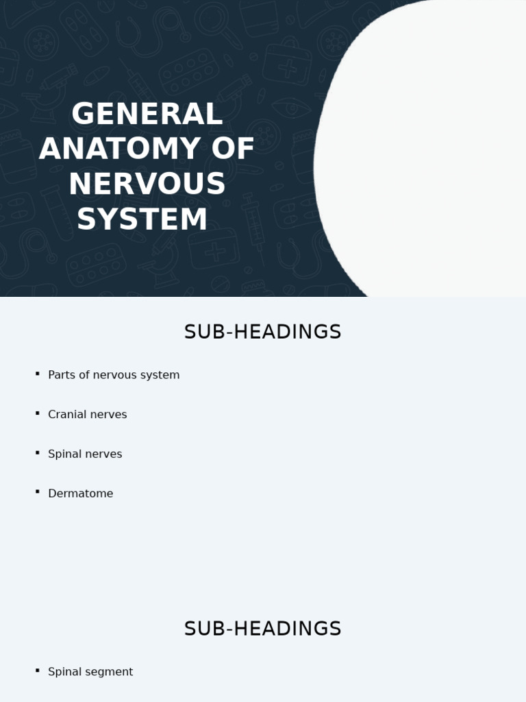 General Nervous System (Final) - 012444 | PDF | Nervous System | Central Nervous System