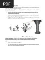 Plant Structure and Functions Guide | PDF | Plants | Leaf
