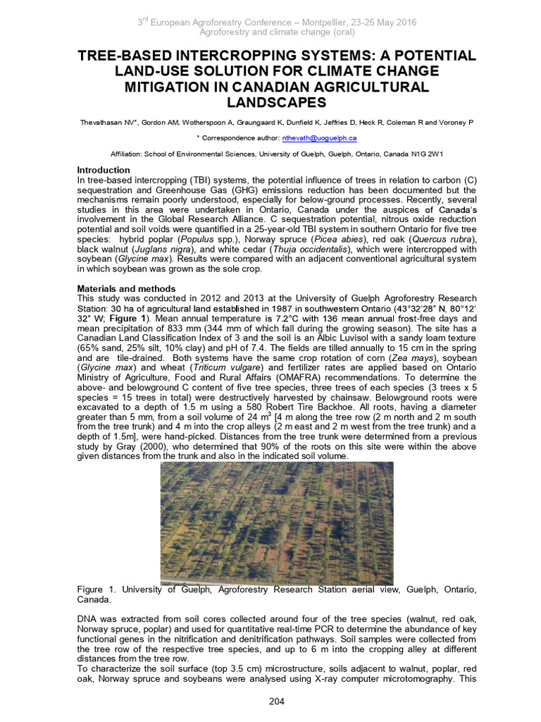 Tree-Based Intercropping Systems A Potential Land-Use Solution For ...