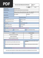 1.0 Formato - Ficha de Caracterización de Procesos | PDF
