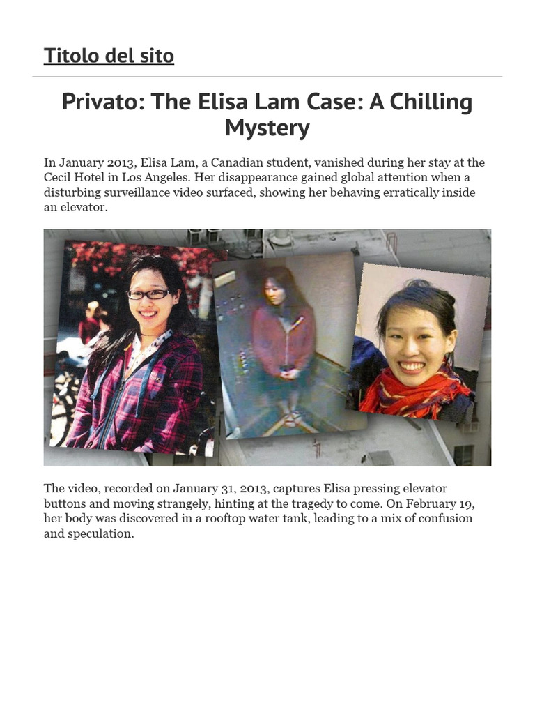 The Elisa Lam Case - A Chilling Mystery - Titolo Del Sito | PDF