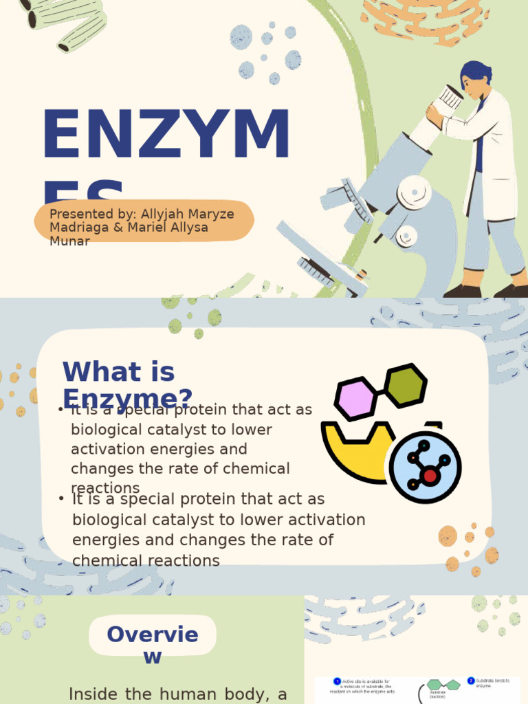 Enzymes | PDF | Enzyme | Redox