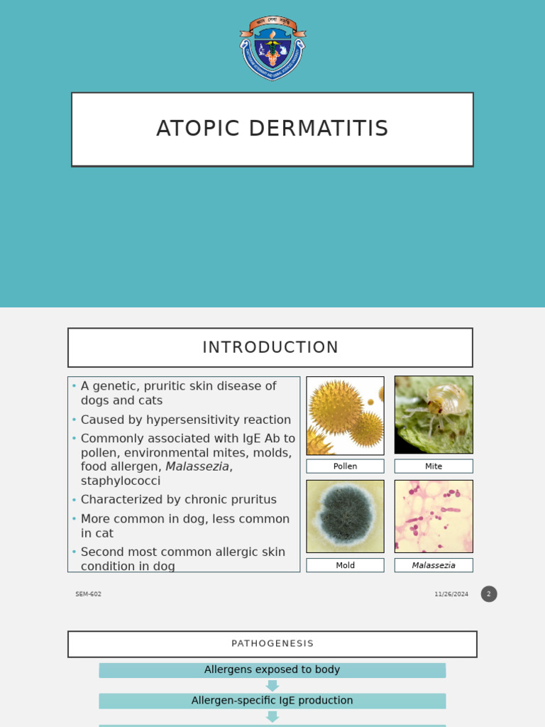 Atopic Dermatitis | PDF | Allergy | Dermatitis