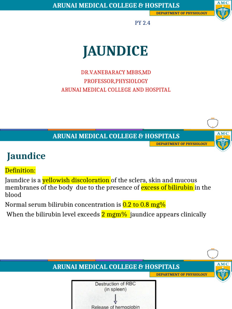 Jaundice | PDF | Medical Specialties | Liver