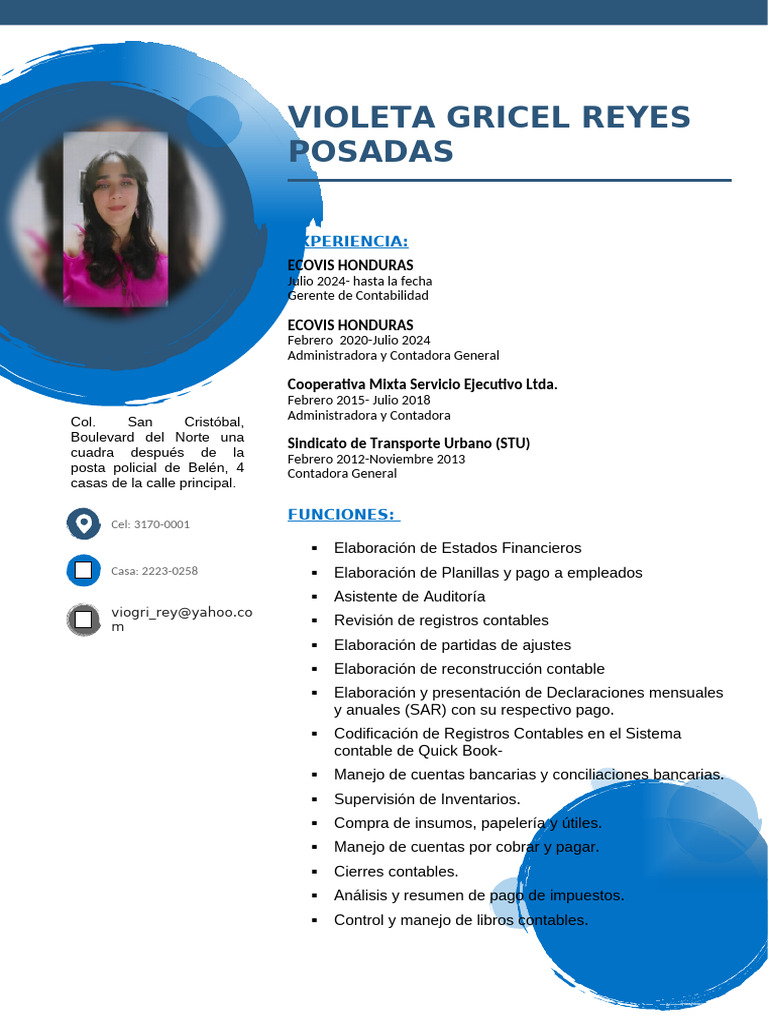 CV Violeta Reyes 2024 | PDF | Contador | Economias