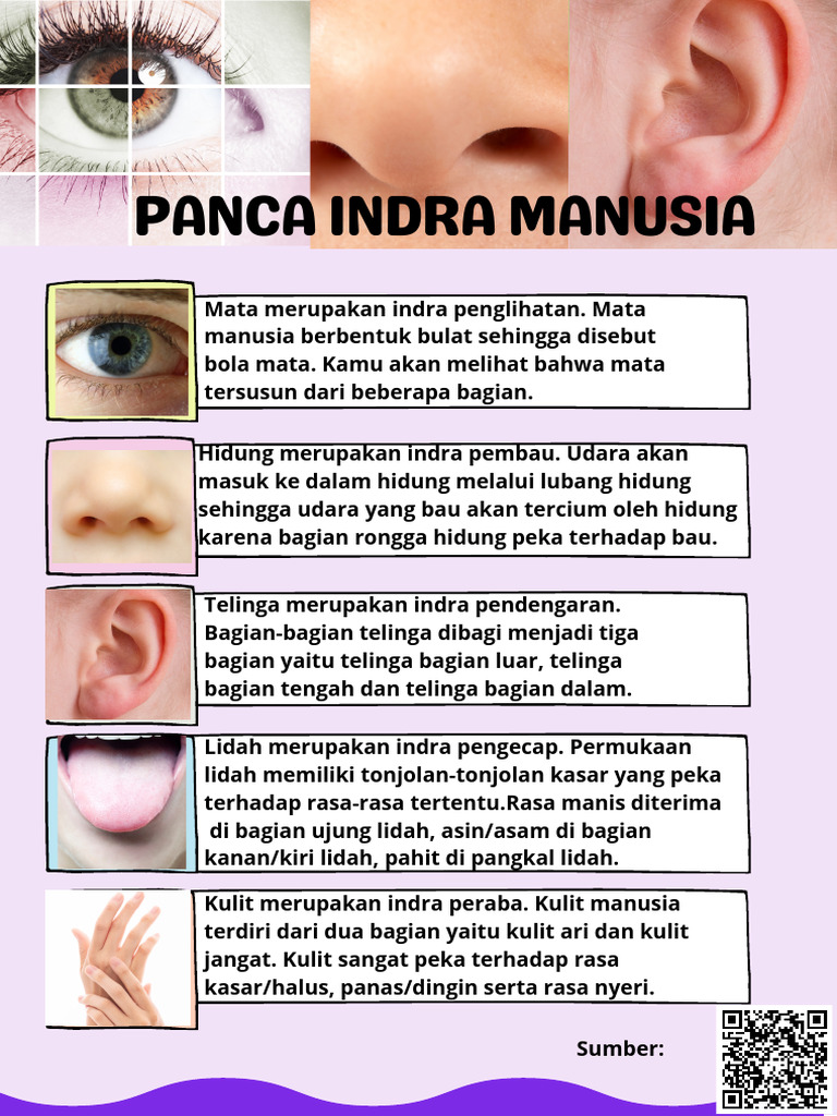Bahan Ajar Panca Indra Manusia | PDF