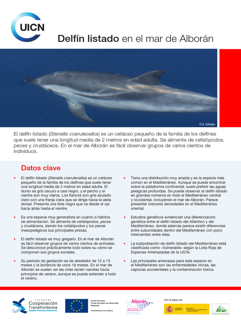 Ficha Delfin Listado | PDF